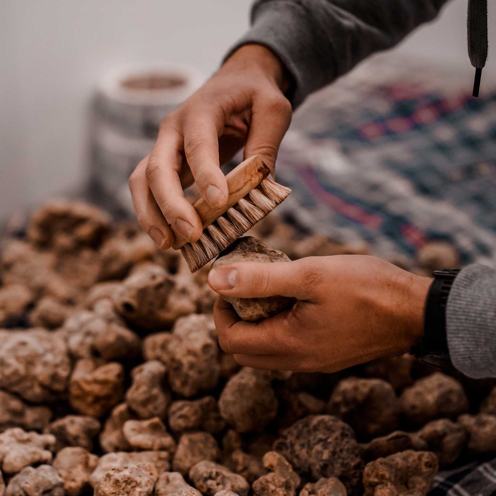 Home - Premium Truffles